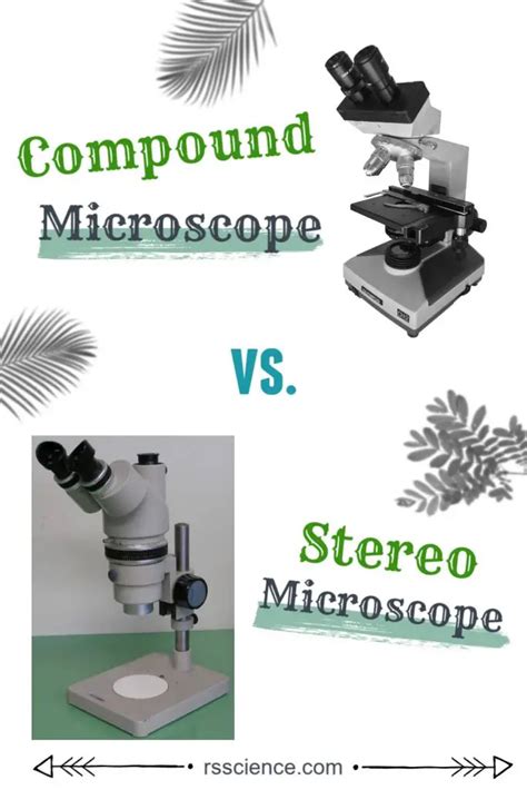 Stereo Microscope Vs Dissecting Microscope At Georgia Jarman Blog