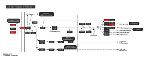 How To Integrate Chip Seq And Rna Seq Data Partek