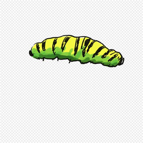 손으로 그린 만화 양배추 애벌레 Png 일러스트 무료 다운로드 Lovepik