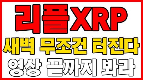 리플 새벽 리플 도지코인 도지 비트코인 이더리움 이더리움클래식 에이다 인플레이션 Xrp Youtube