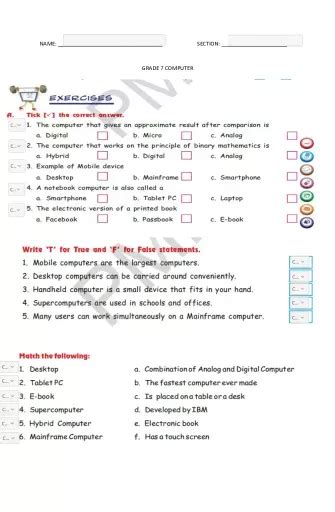 Grade 7 Computer Quiz 2 Interactive Worksheet
