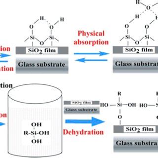 The Formation Of SiOH Groups On SiO2 Films Surface A And The Download Scientific Diagram