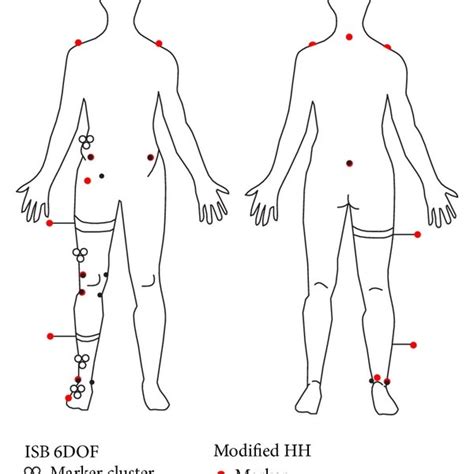 Joint Coordinate System Definition According To Isb Recommendation 5