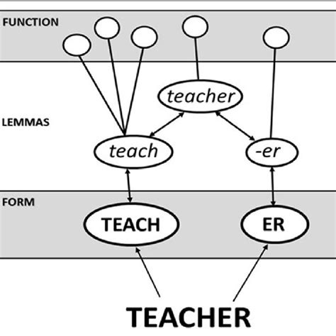 The Obligatory Morphological Decomposition Model Illustrated With The