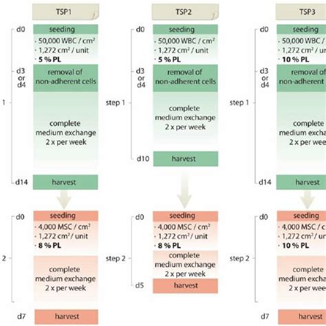 PDF GMP Compliant Isolation And Large Scale Expansion Of Bone Marrow Derived MSC