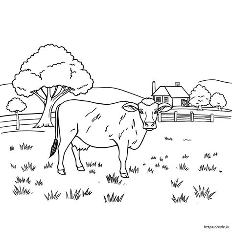 Coloring Pages Of Cattle