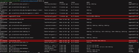 how to set up the mftf in magento 2 projects using warden by