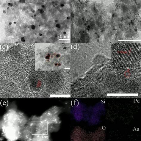 A SEM Images Of PdAu SiO2 Bd TEM Images Of PdAu SiO2 TEM Images Download Scientific