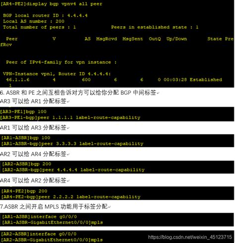 mpls optionc 方案一（三层标签） bgp option c三层标签 csdn博客