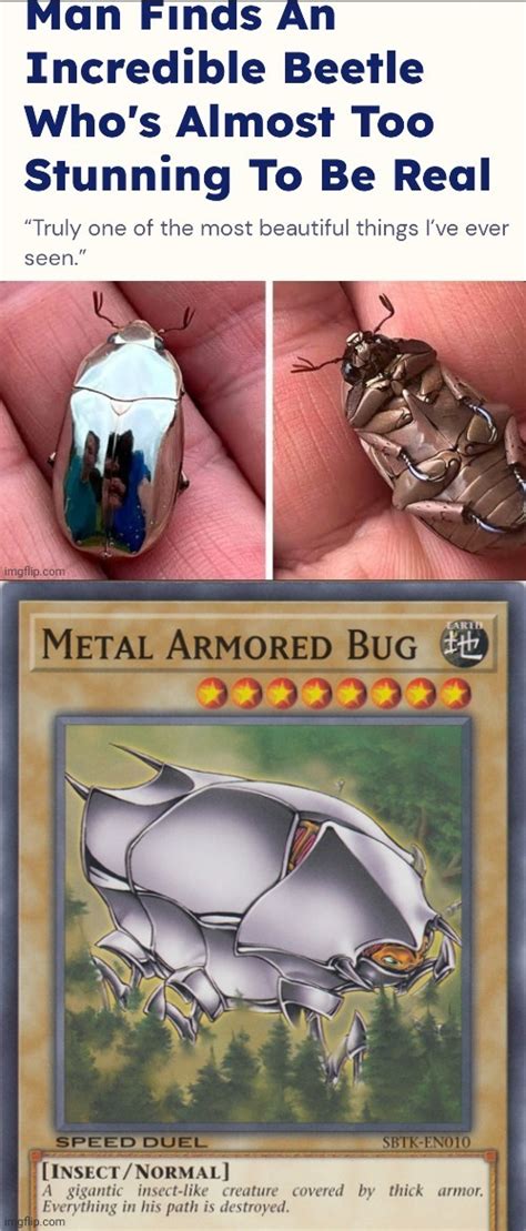 Defense Attack Memes