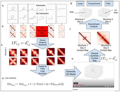 ijms special issue protein rna and genome structure prediction