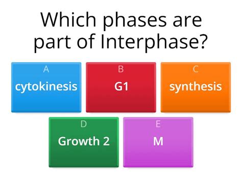 The Cell Cycle Focus On Interphase Quiz