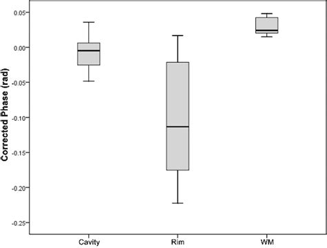 Figure 1 From Characteristics Of The Abscess Capsule With Pyogenic