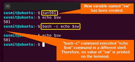 The Bash Command In Linux Practical Examples