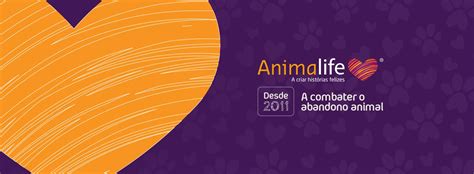 Onde Há Gato Não Há Rato Ontem A Sanko Foi Ao Veterinário Mostrar As Patinhas á Dra Joana