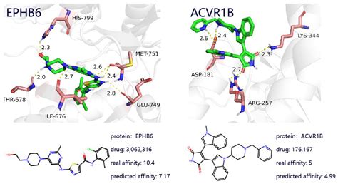 Dynheter Dta Dynamic Heterogeneous Graph Representation For Drug Target Binding Affinity Prediction