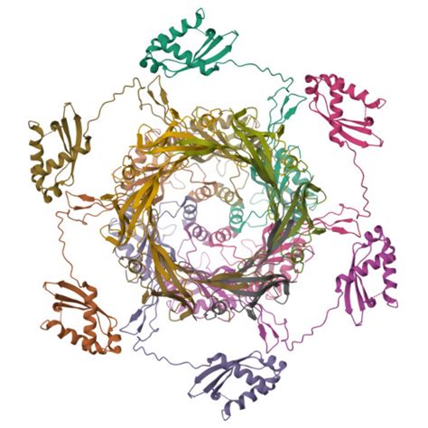 Rcsb Pdb 6j0f Cryo Em Structure Of An Extracellular Contractile Injection System Pvc Sheath