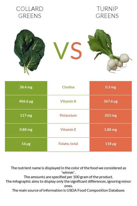 Collard Greens Vs Turnip Greens — In Depth Nutrition Comparison