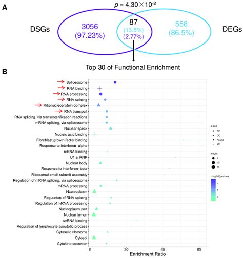 genes presented in both differentially spliced dsgs and download