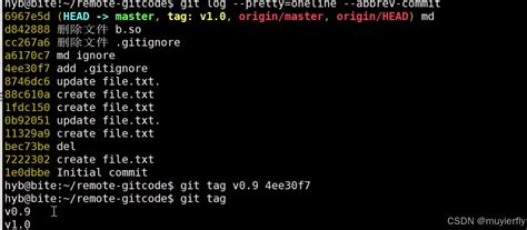 git的学习之远程进行操作 csdn博客