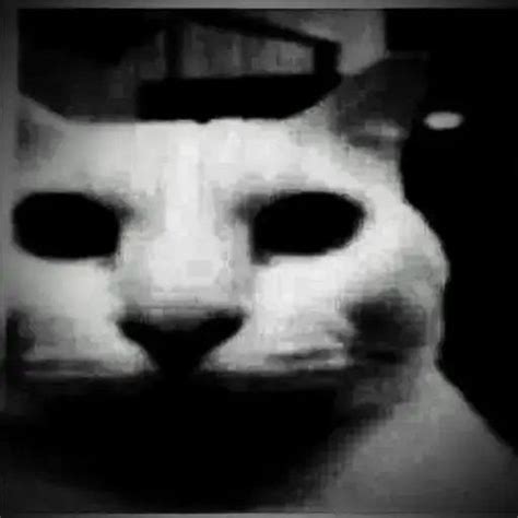Épinglé Par Nightlxss Sur Quick Saves Visages De Mème Drôle Visage