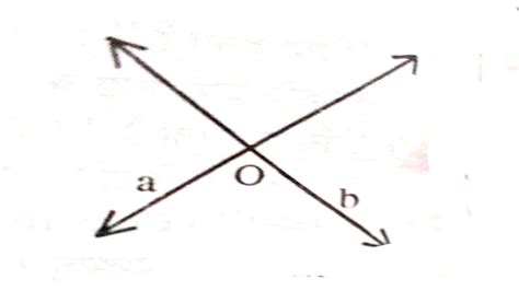 Basic Concepts Of Geometry Class Mathematics Satyam