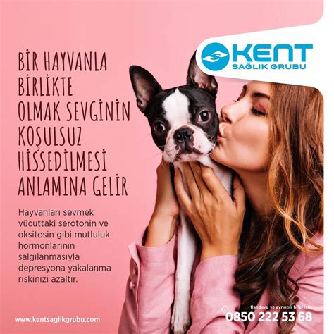 Simel Ersoy Linkedinde Yayınladı