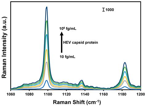 Ultrasensitive Raman Spectroscopy Based Virus Detection Using Glycan Coated Plasmonic Substrates