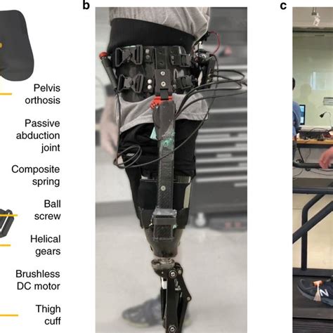 Powered Hip Exoskeleton And Experimental Setup A A Model Of The Download Scientific Diagram