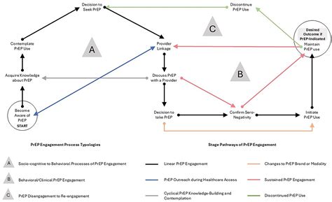 Frontiers Patient Pathways To Prep Persistence A Qualitative