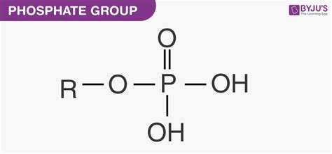 Phosphate Group Structure