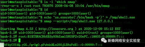 Linux系统安全攻防技术之一：针对linux系统的攻击linux系统常见攻防技术应用相关的论文 Csdn博客