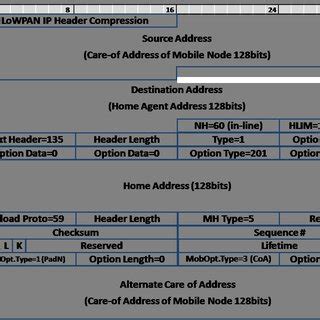 A Binding Update Message In Mobile IPv B Binding Update Message Download Scientific