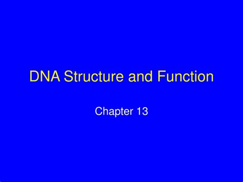 PPT DNA Structure And Function PowerPoint Presentation Free Download ID
