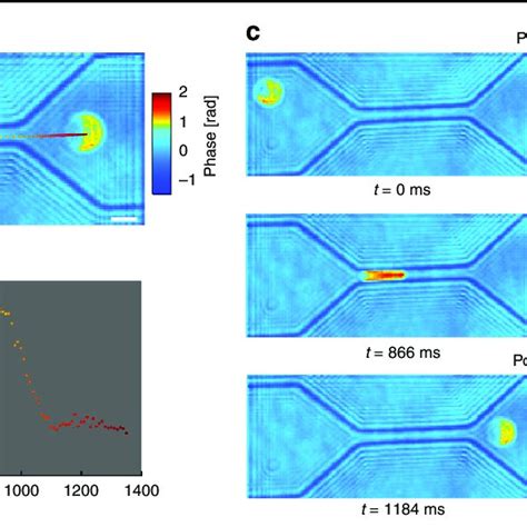 System Setup A Schematics Of Pattern Mask Used For Photolithography B