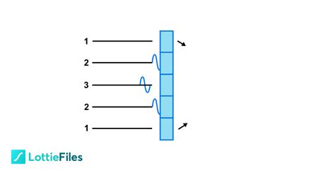 linear transducer array ultrasound focus by joana barreira lottiefiles