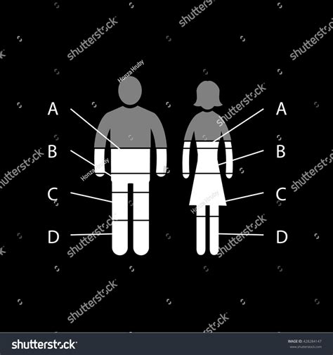 Conceptual Infographic Gender Chart Modern Flat เวกเตอรสตอก ปลอดคาลขสทธ 428284147