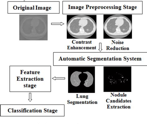 Figure 1 From A Cad System For The Early Detection Of Lung Nodules Using Computed Tomography