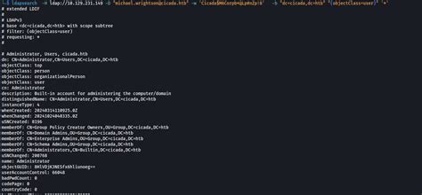 ldap enumeration with ldapsearch shinning star