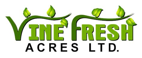 Energy Management Software Edgecom Energy