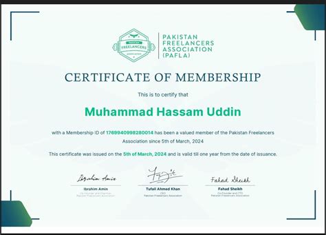 Muhammad Hassam Uddin On Linkedin Pafla