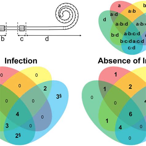 Pd Catheters Schematic Diagram Of The Catheter Segments Including The