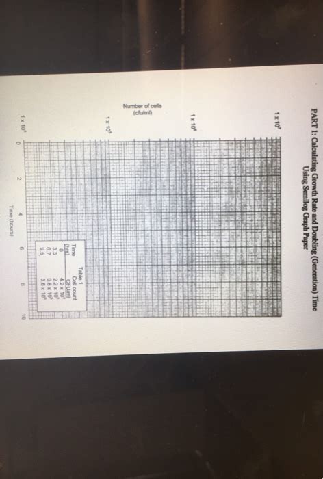 using semilog graph paper time cell count 3 3 22 x 10