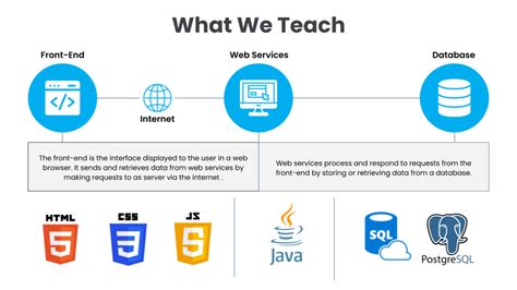 which should you learn first the best programming languages for