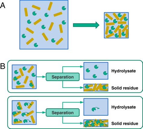 Use Of Cellulases Lacking Carbohydrate Binding Modules In Hydrolysis At Download Scientific