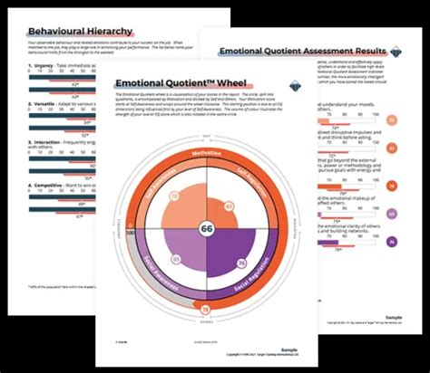 Disc Agency Disc Assessment Disc Facilitation And Workshops