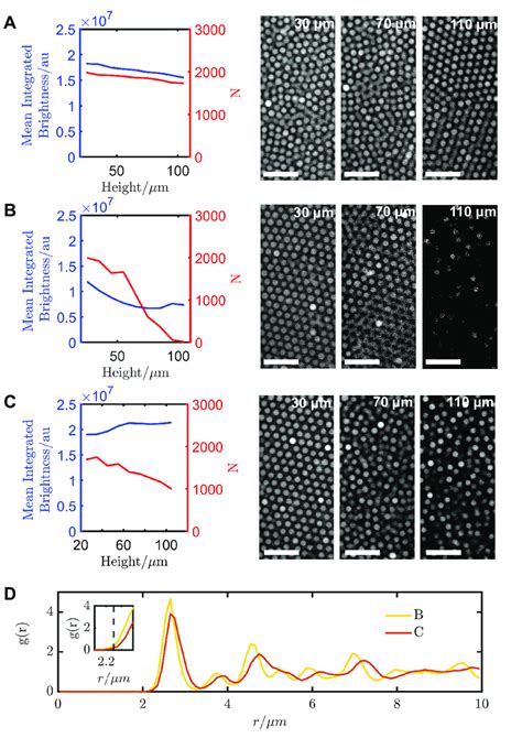 Number Of Particles And Mean Integrated Brightness Per Particle At Download Scientific Diagram