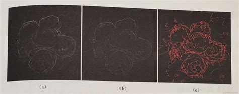 halcon边缘滤波器edges image 算子 halcon机器视觉 csdn专栏
