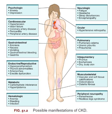 Topic Renal AKI Ch Flashcards Quizlet