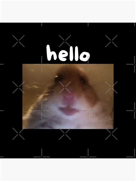 Staring Hamster Funny Sticker Poster For Sale By Humourhouse Redbubble